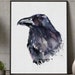 RAVEN Raven art print Hand drawn raven print Black raven | Etsy