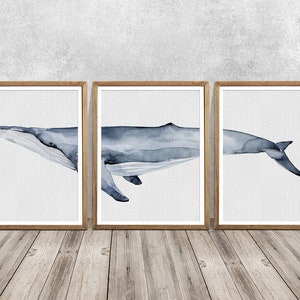 Whale Fin, Fin Whale Art, Fin Whale Print, Fin Whale Painting, Fin ...