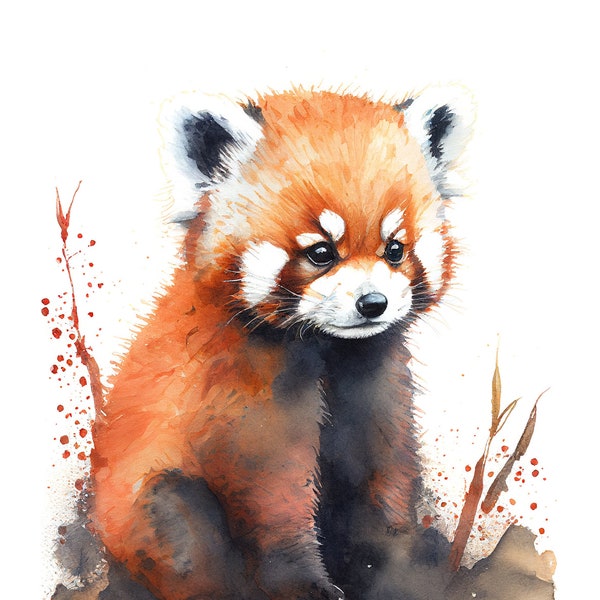 Red Panda Watercolor - Etsy
