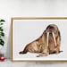 Walrus Print Walrus Art Walrus Watercolor Walrus Painting - Etsy