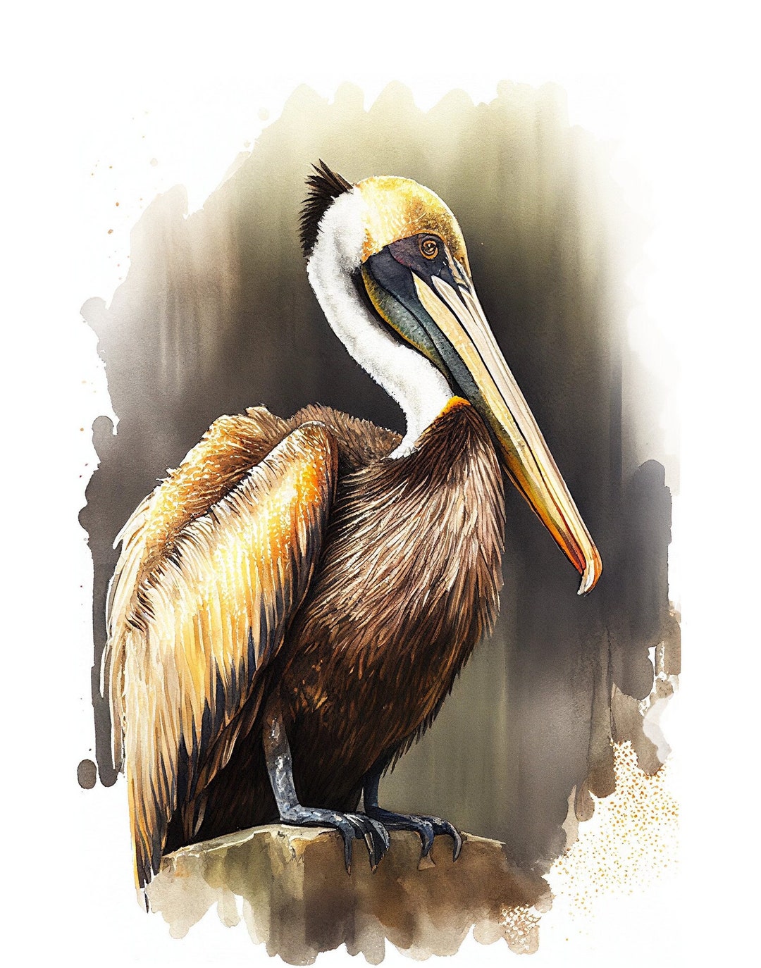 Brown Pelican Print, Brown Pelican Art, Pelican Painting, Wall Art ...