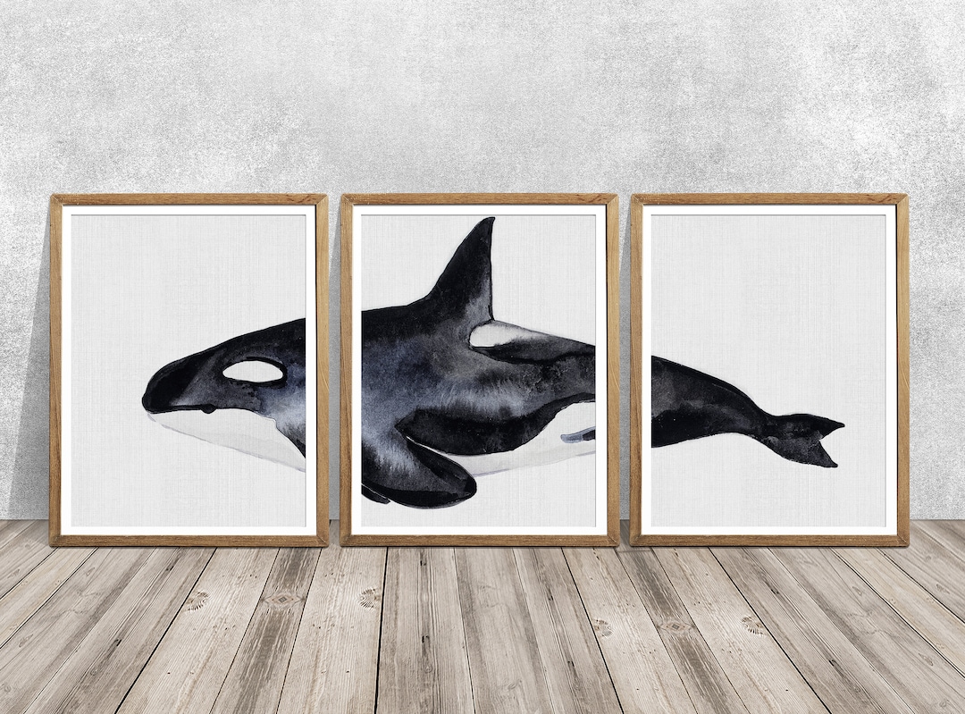 Killer Whale SET of 3 Whale Art Whale Art Print Killer Whale Wall Art ...