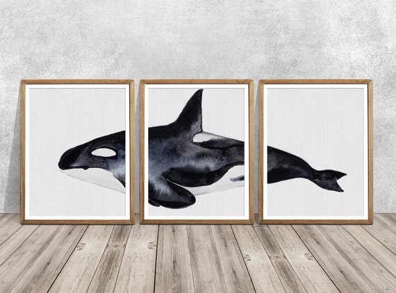 Killer Whale SET of 3 Whale Art Whale Art Print Killer Whale | Etsy