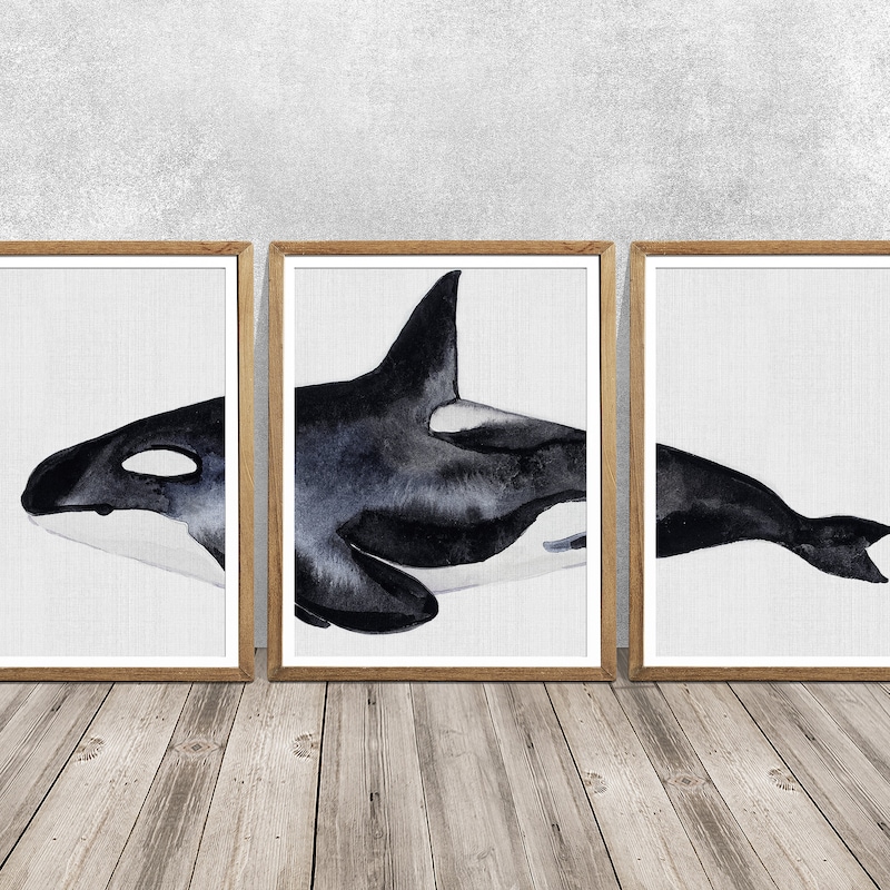Killer Whale Art - Etsy