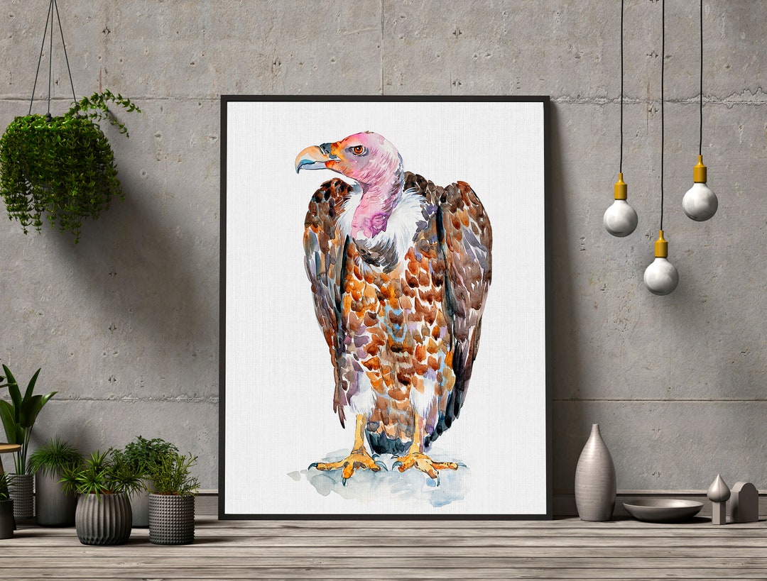 Vulture Bird Print Vulture Watercolor Art VULTURE Vulture Art Print Red ...