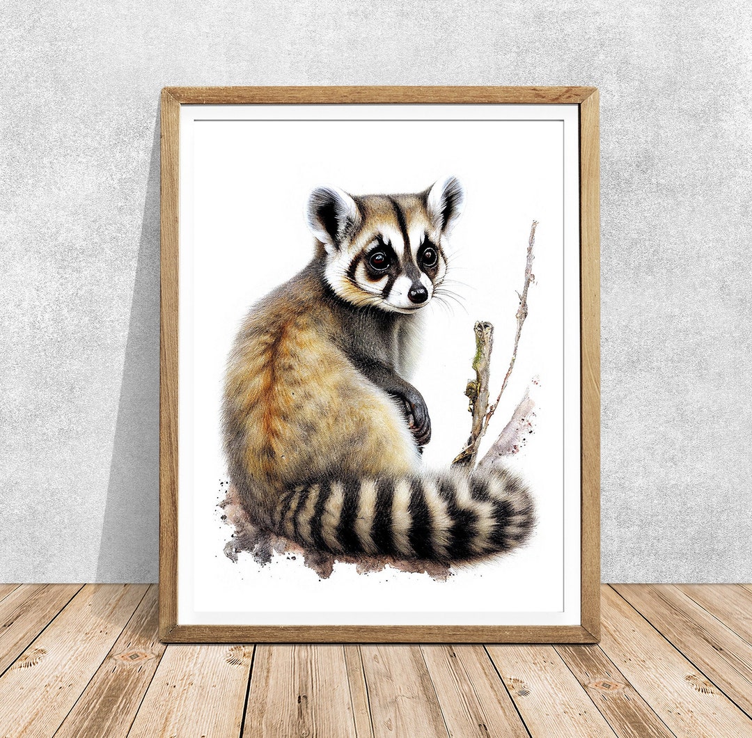 Ringtail Print, Ringtail Watercolor Art, Ringtail, Painting, Animal ...