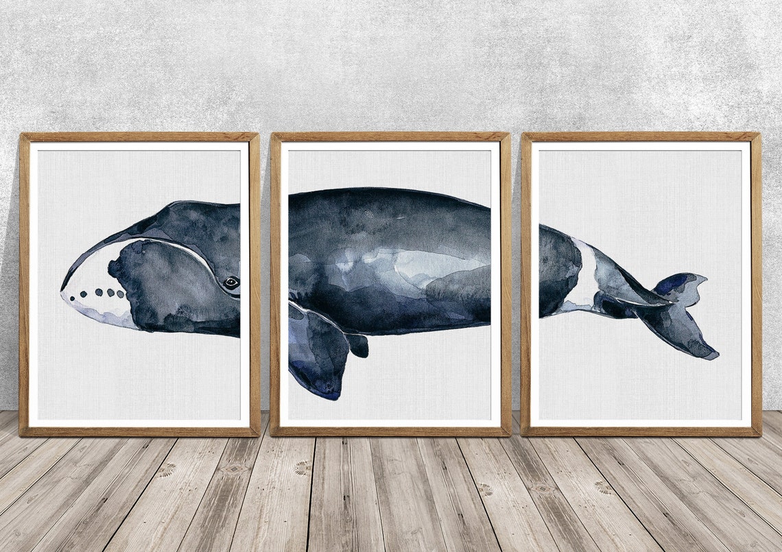 Right Whale Right Whale Art Right Whale Print Whale Poster | Etsy