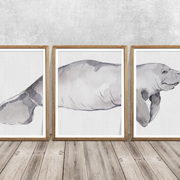 Manatee Art - Etsy