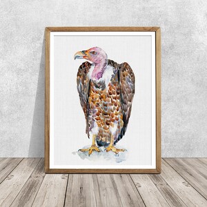 Vulture Bird Print Vulture Watercolor Art VULTURE Vulture Art Print Red ...