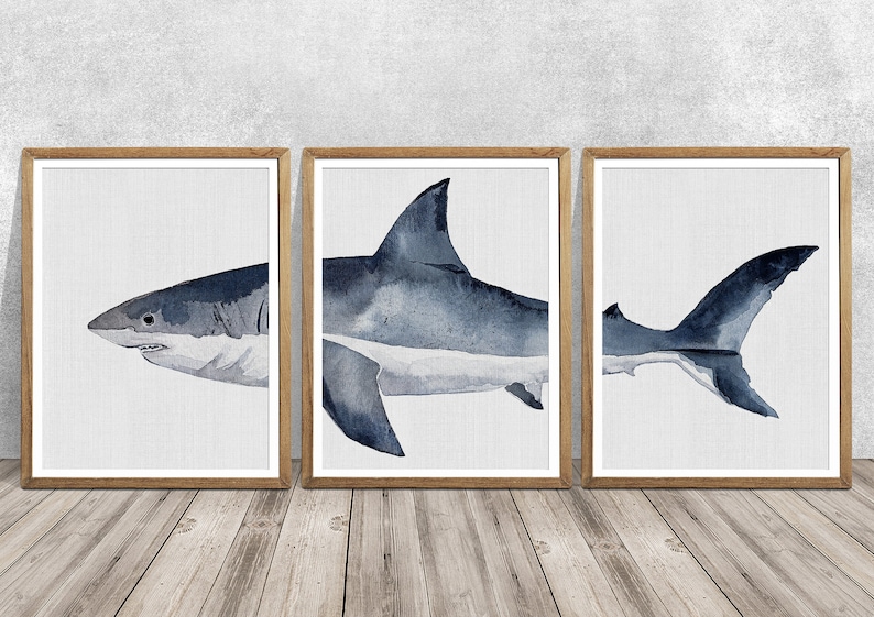 Shark Print Shark Art Great White Shark Shark Poster Shark - Etsy UK