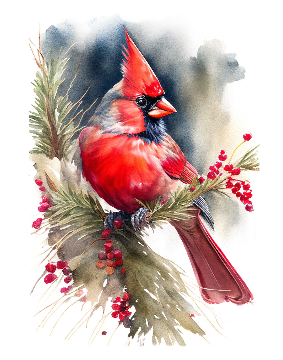 Watercolor Red Cardinal Art Print, Signed Giclee - Etsy
