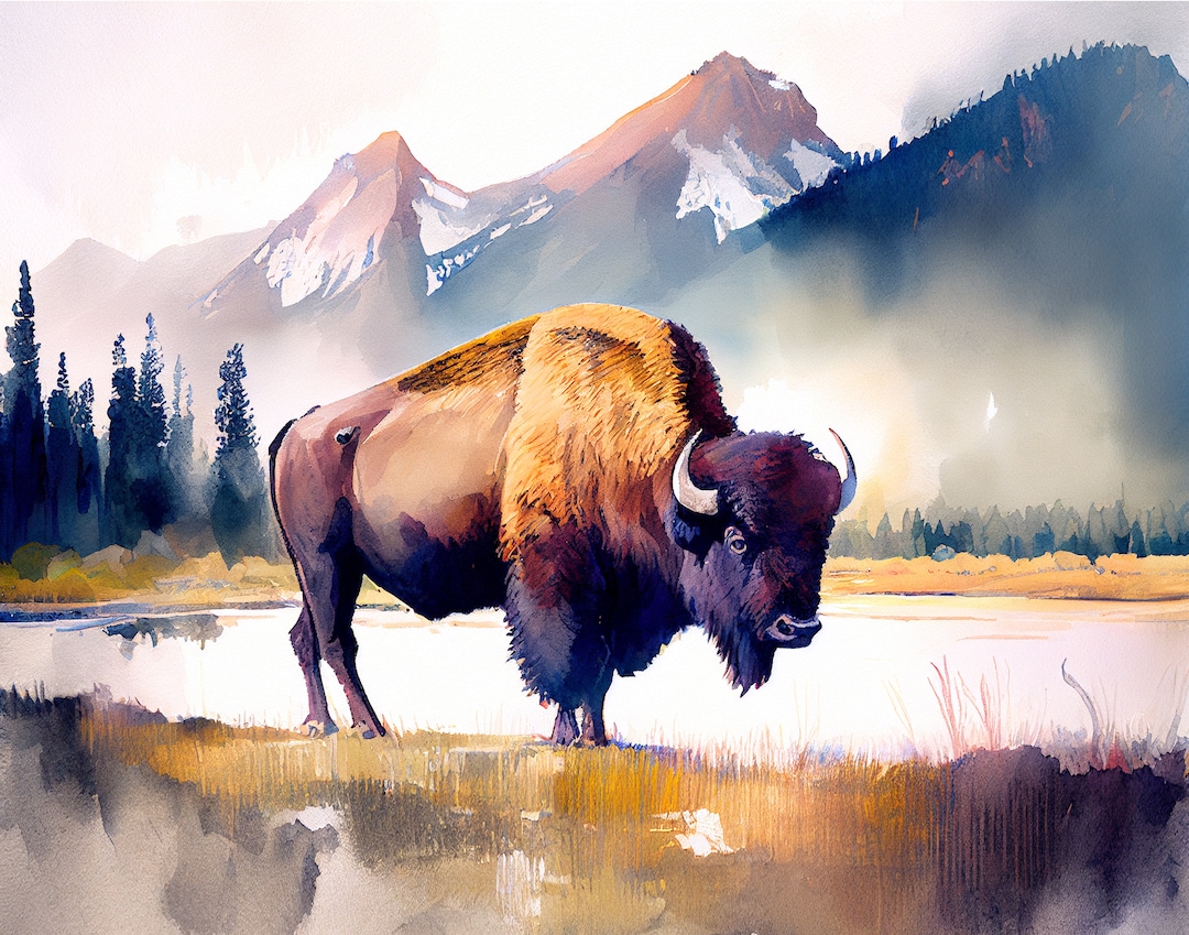 BUFFALO Print, Bison Gift, Wall Art, Watercolor Art Print, American ...