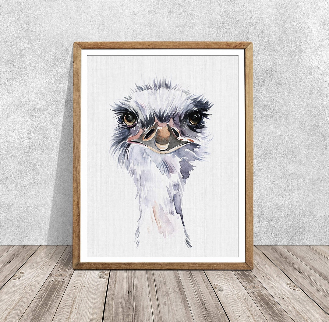 Ostrich Watercolor Art, Ostrich Print, Australian Animal, Watercolor ...