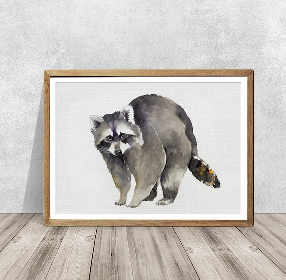 RACCOON Watercolor Raccoon Art Nursery Raccoon Raccoon Print | Etsy