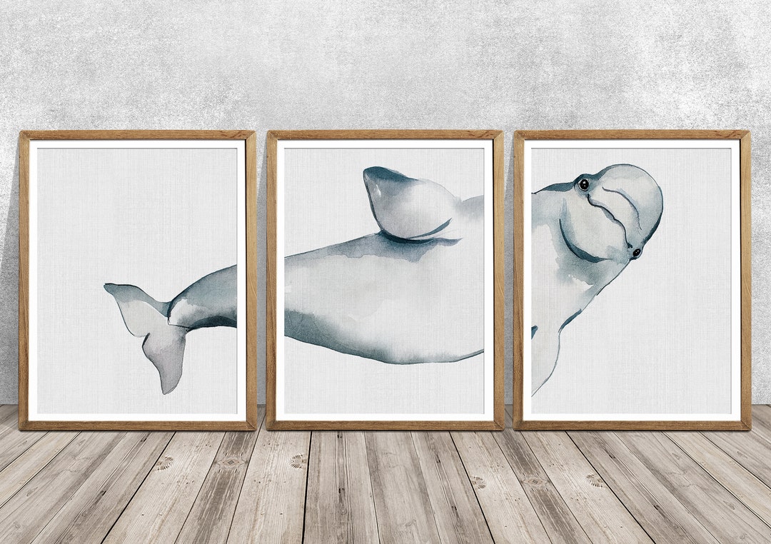 Beluga Whale SET of 3 Ocean Nursery Art BELUGA Whale Print Beluga ...