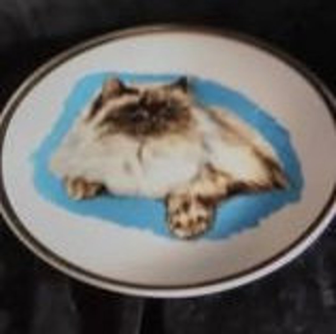 Cat Plate Blue Eyes Siamese/balinese Gold Accents Japan Vintage - Etsy