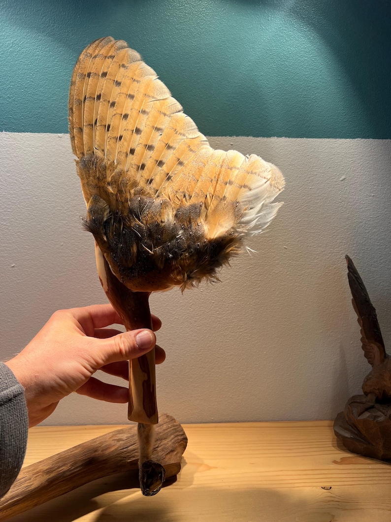 Barn Owl Wing Fan - Etsy