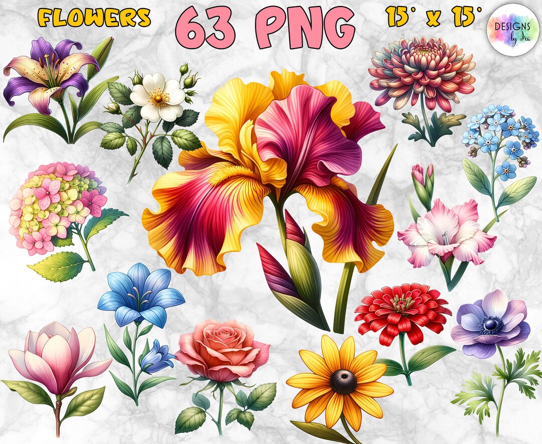 Floral Clipart: 63 Garden Flower PNG Illustrations (digital Download ...