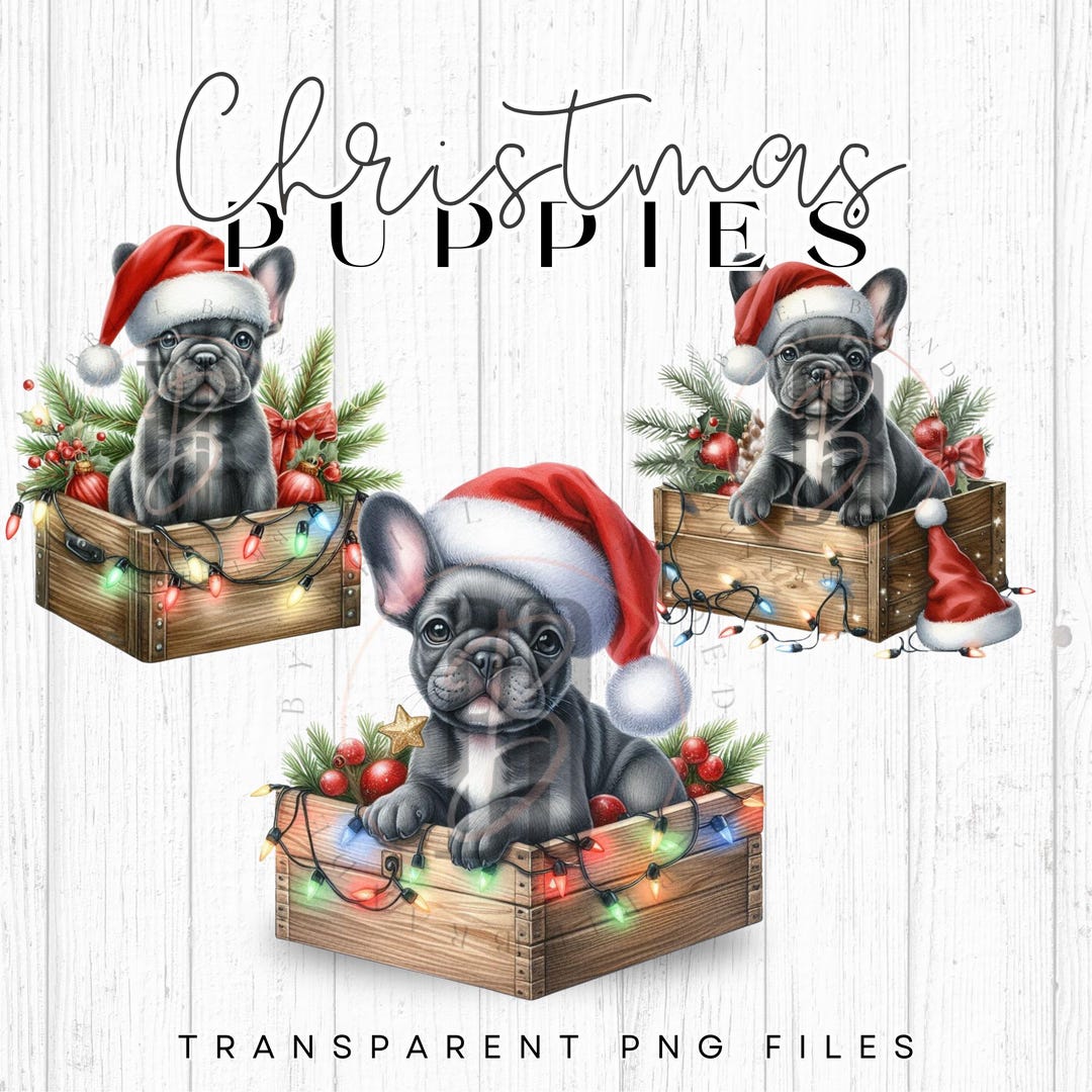 Frenchie Grey French Bulldog Christmas Holiday Themed PNG Sublimation ...