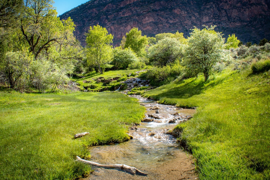 Maple Grove Photo - Etsy