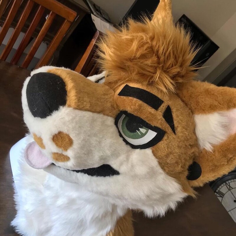 Premade Fursuit Protogen - Etsy