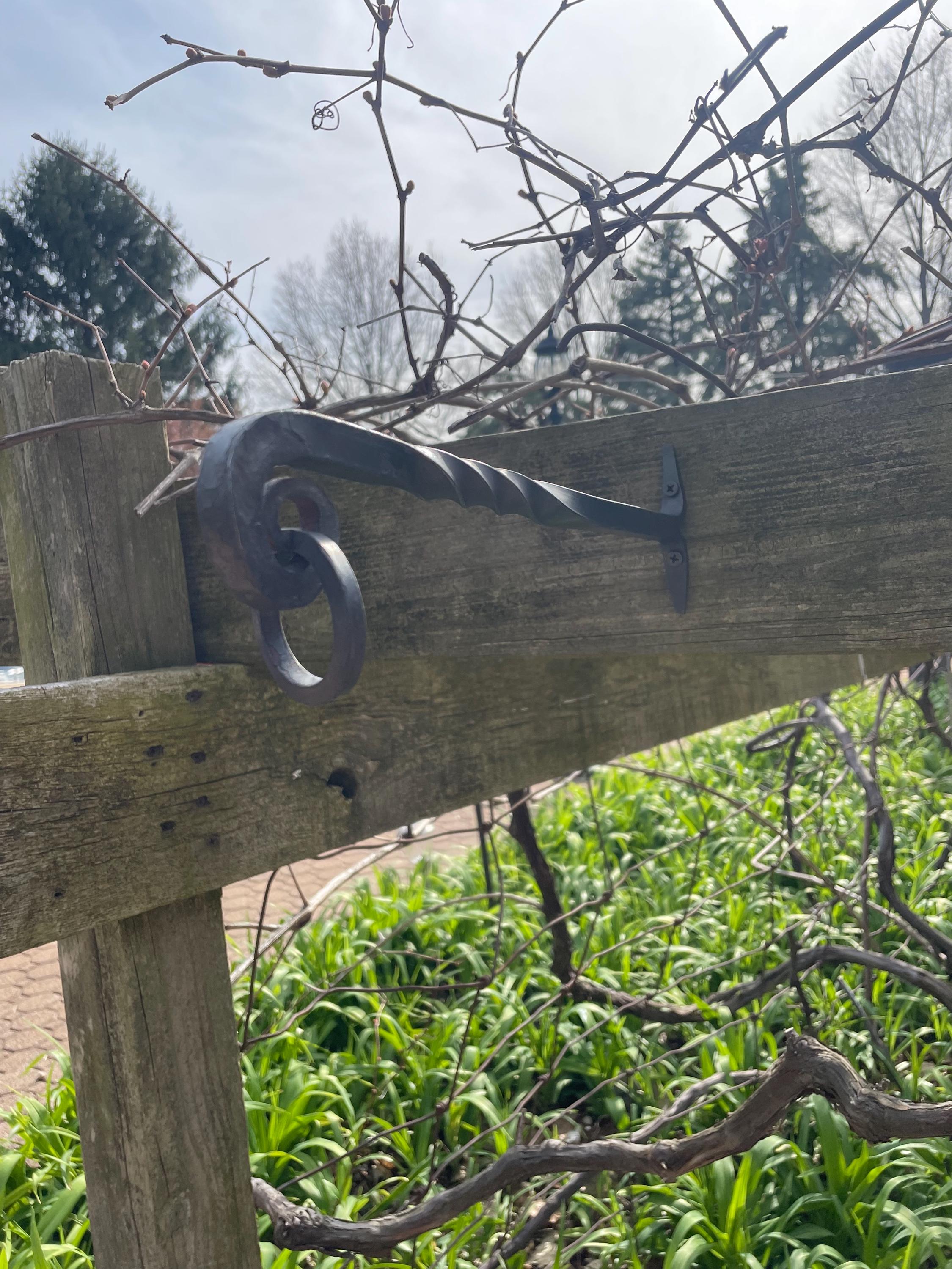 Forged Scroll Plant Hanger - Etsy