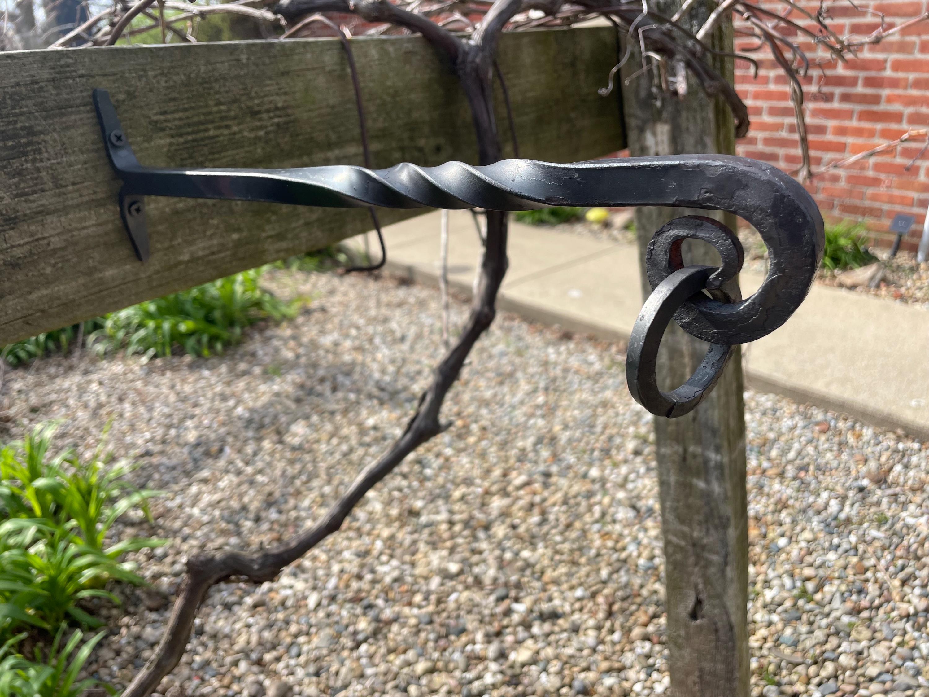 Forged Scroll Plant Hanger - Etsy