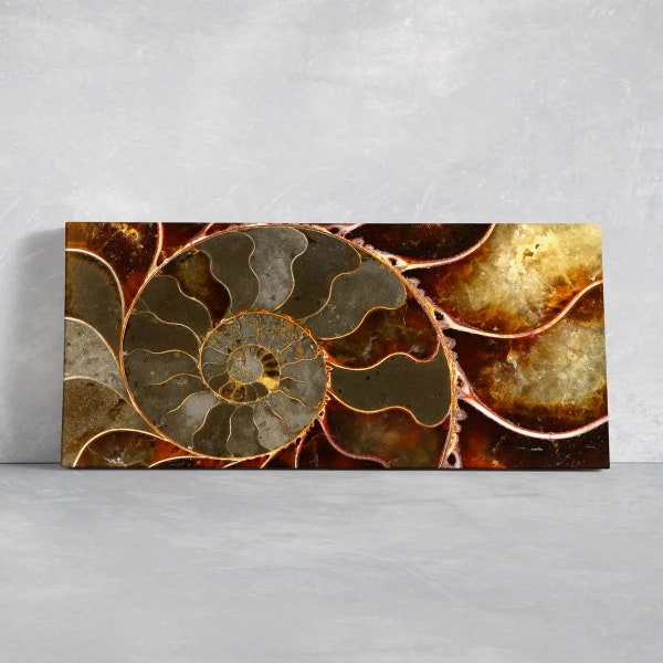 Fossil Canvas Art - Etsy