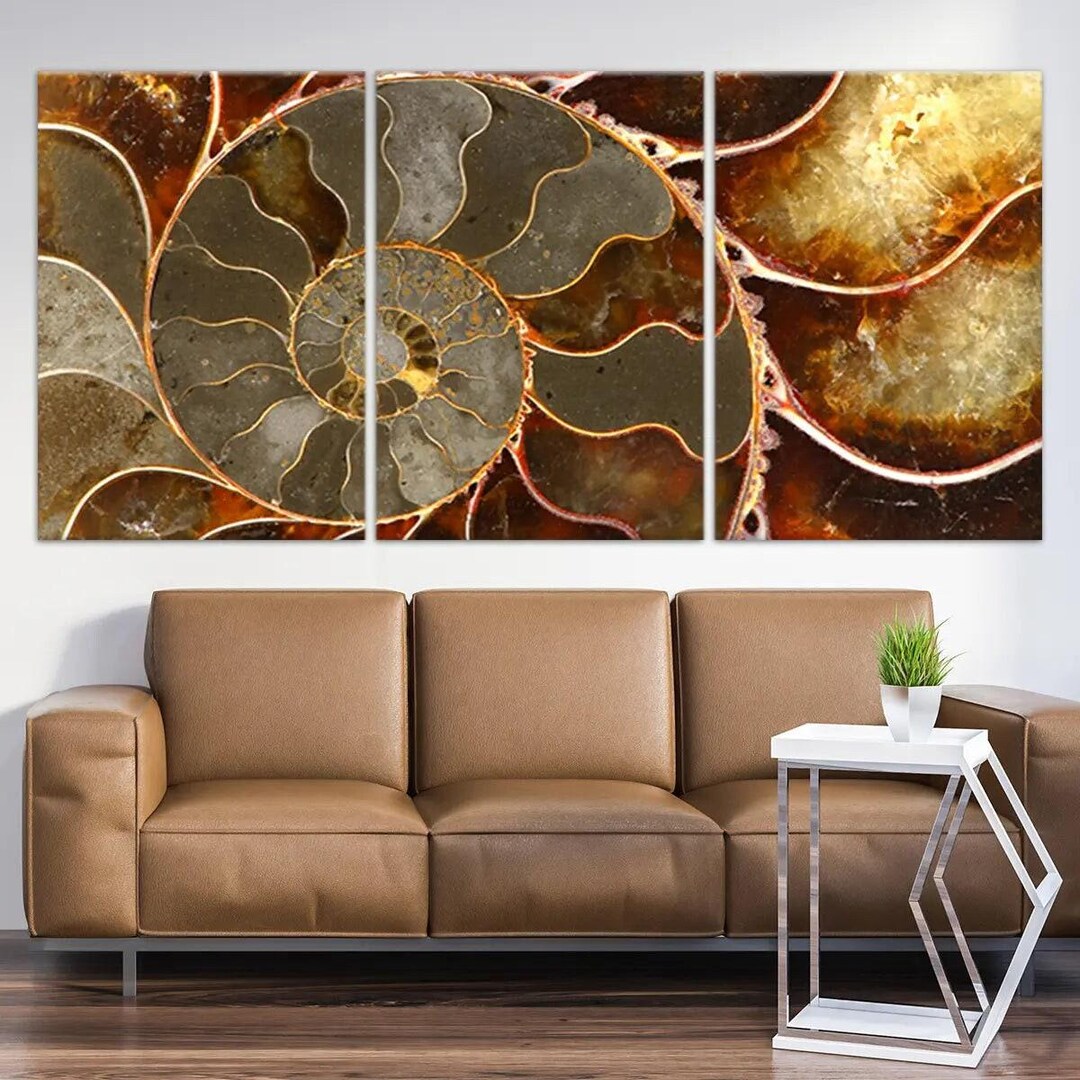 Ammonite Fossil Canvas Wall Art, Spiral Shell Print for Educational ...