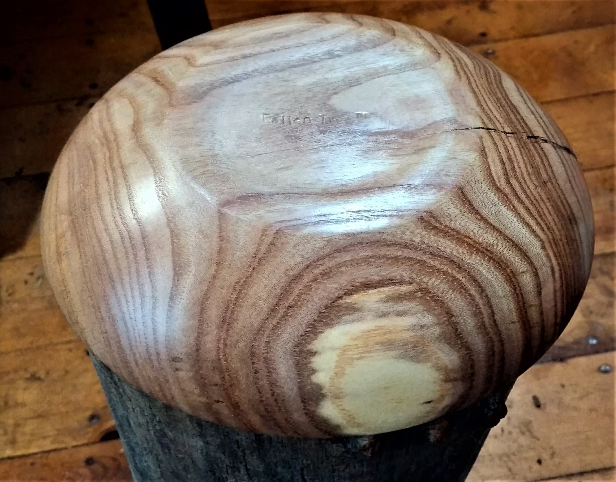 Fallen Tree American Elm Heartwood Display Bowl - Etsy