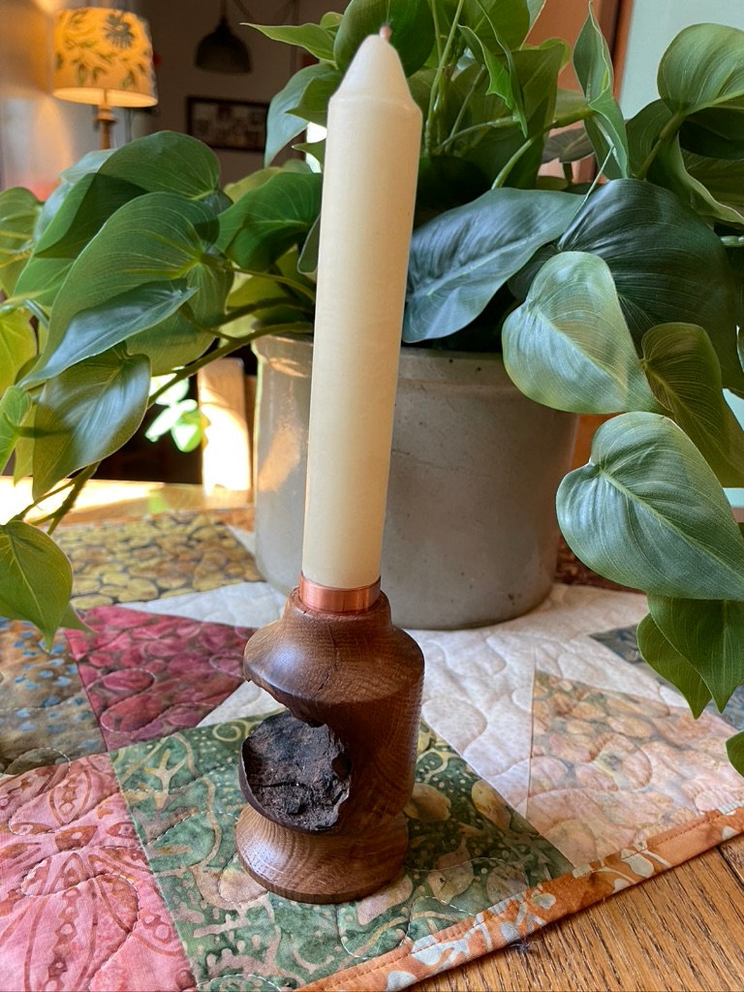 Fallen Tree Burr Oak Half Rotted Candle Holder - Etsy