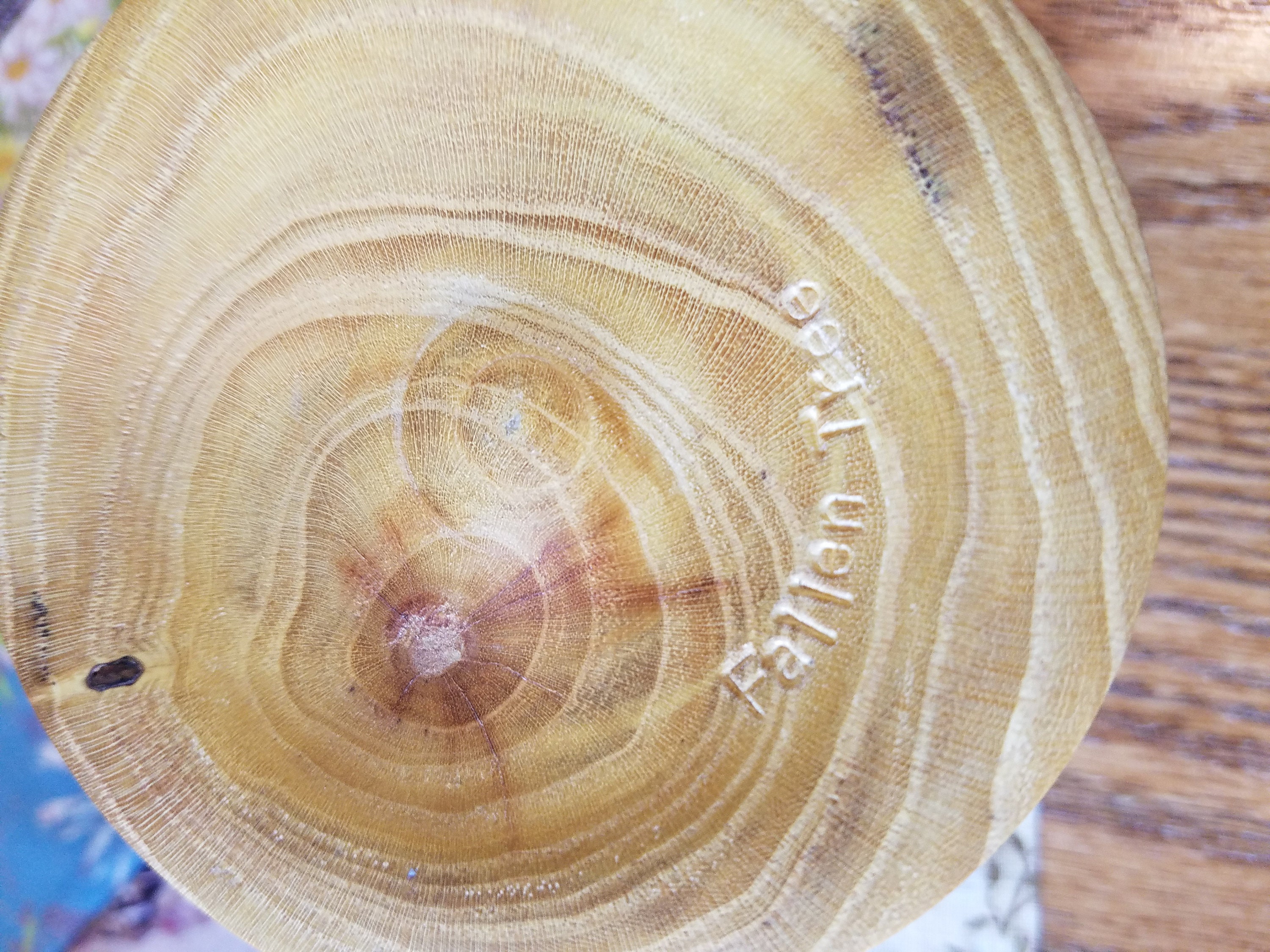 Fallen Tree Honey Locust Bowl With Base - Etsy