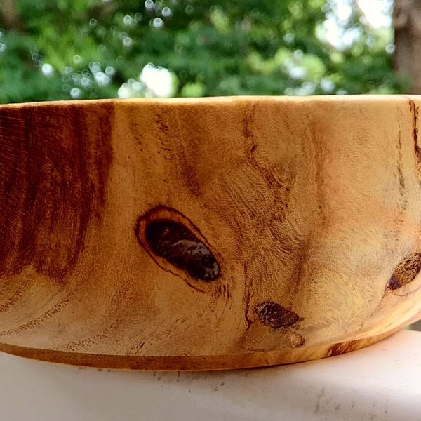 Honey Locust - Etsy