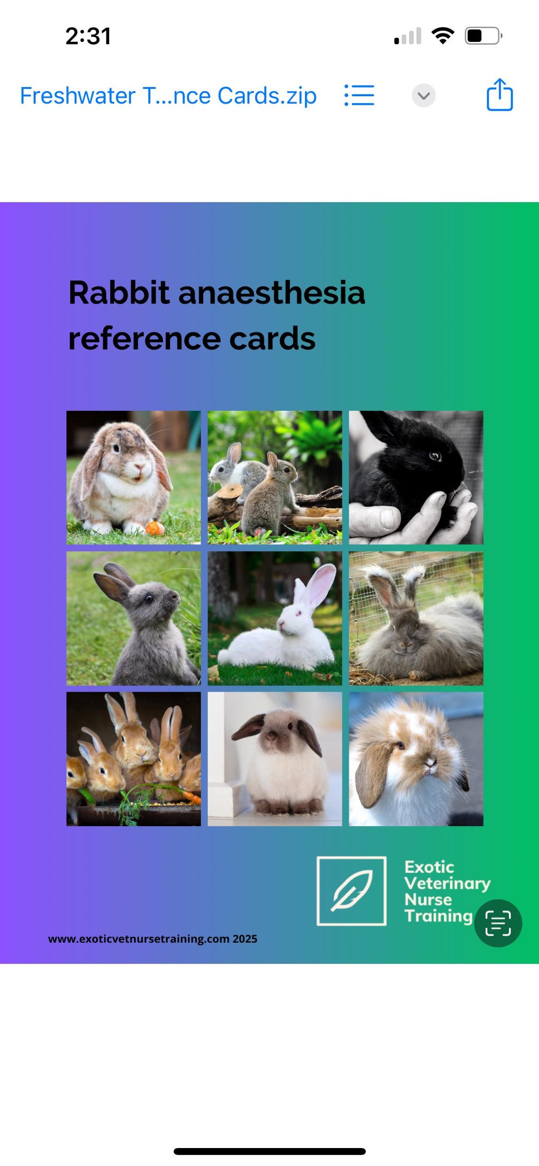 Rabbit Anaesthesia Reference Card Set - Etsy