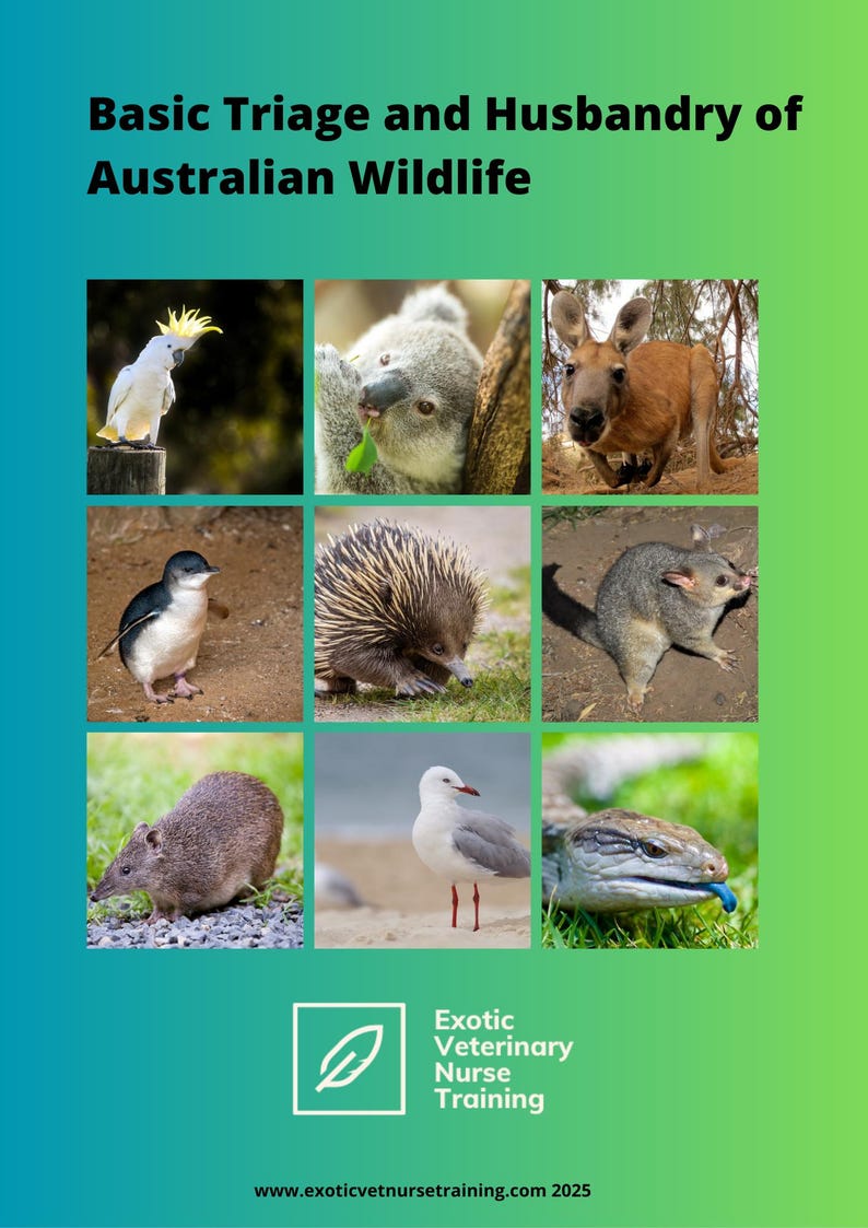 Basic Triage and Husbandry of Australian Wildlife’ Reference Card Set - Etsy