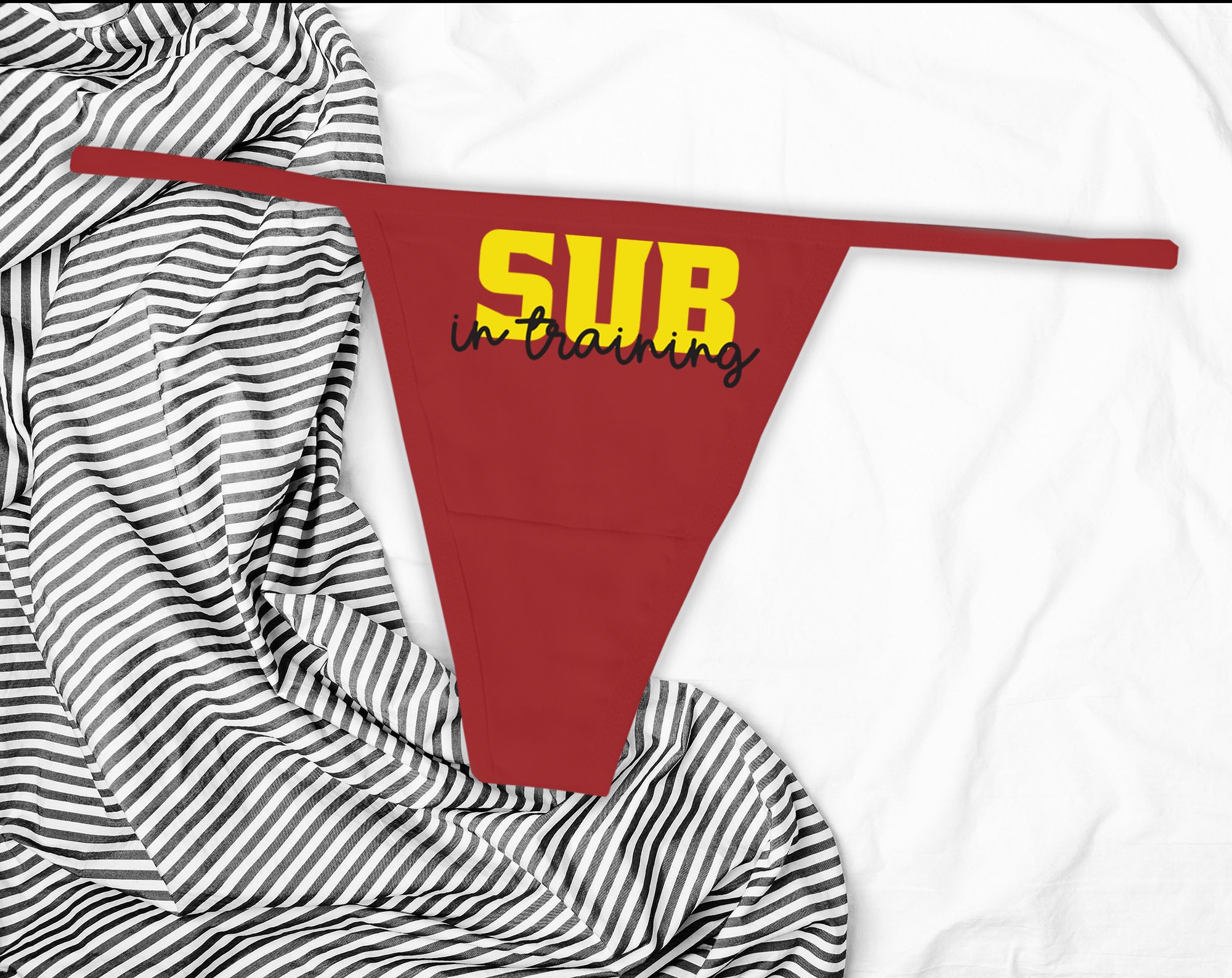 Sub In Training Panties Sexy Slutty Bdsm Collared Submissive Etsy