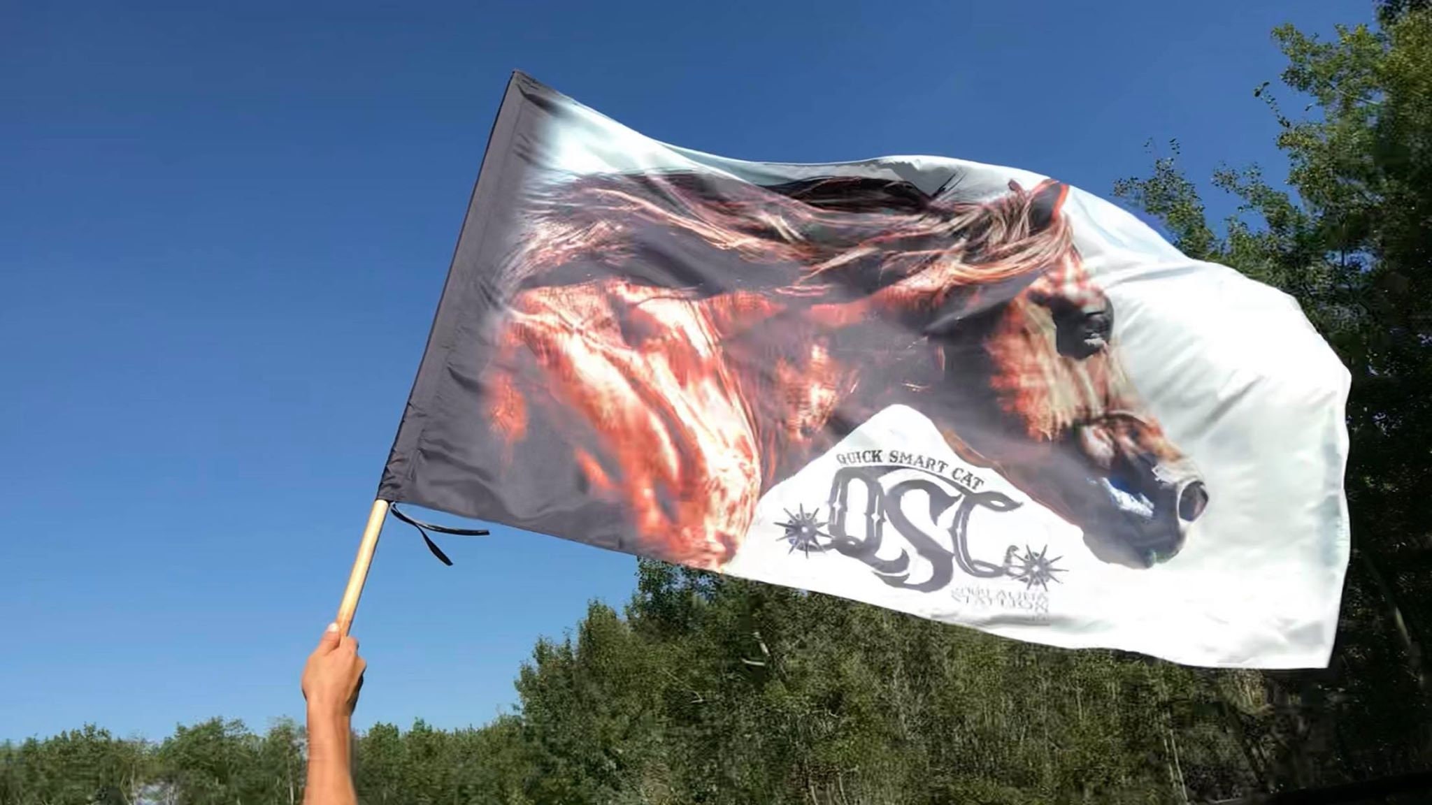 Custom Flag - Single Sided 3'x5' - Etsy