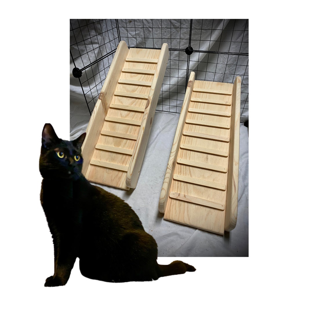 Indoor Cat Ramp With Sides: Kiln Dried Pine, Treaded - Etsy