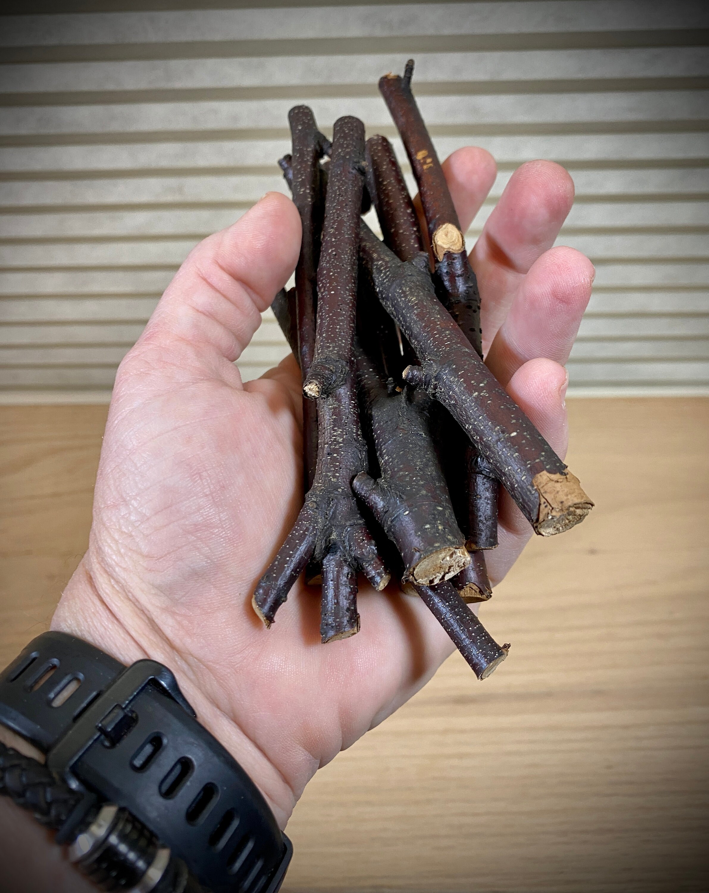 Small White Birch Sticks W/bark Set of 5 , 10 or 15 Small Pet Toy 6 ...