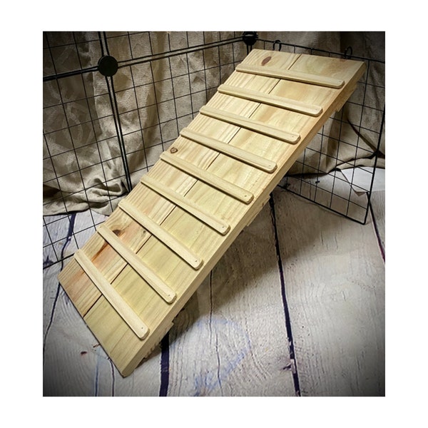 Outdoor Pet Ramp - Etsy