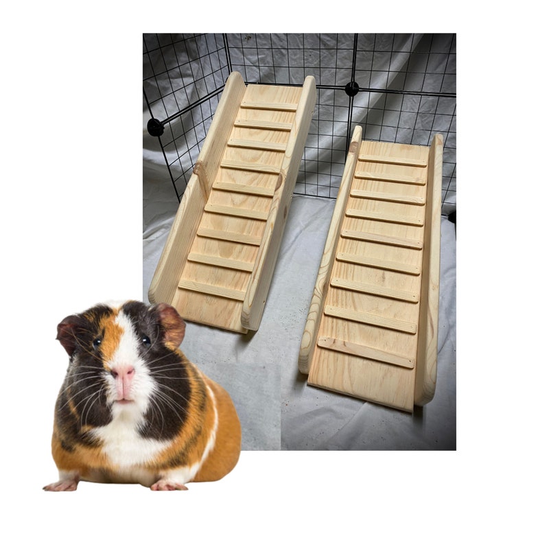 Guinea Pig Ramp - Etsy
