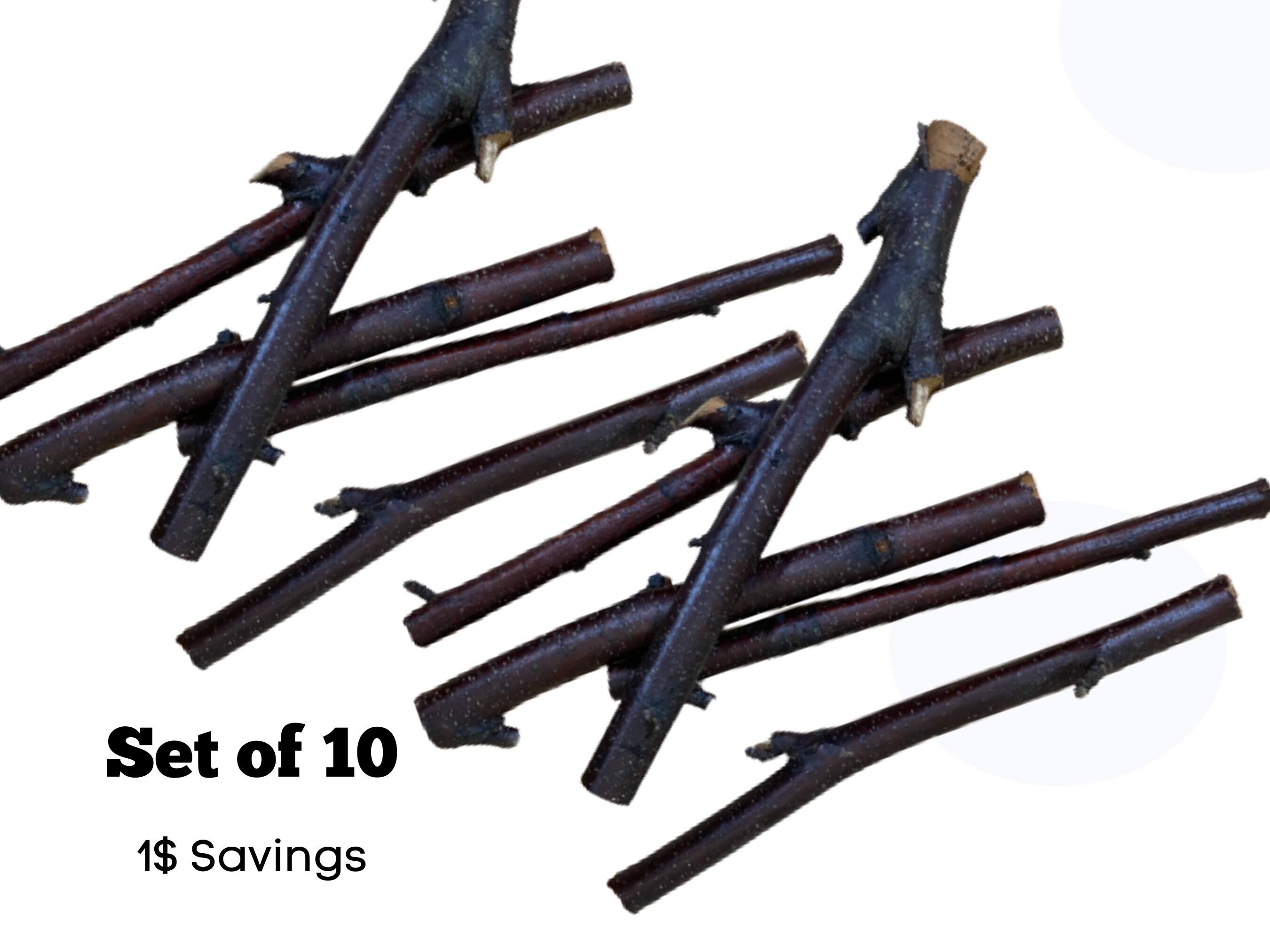Small White Birch Sticks W/bark Set of 5 , 10 or 15 Small Pet Toy 6 ...