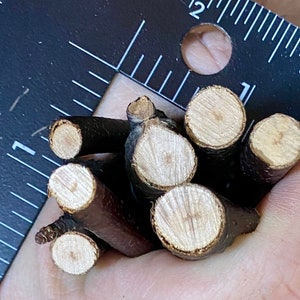 Small White Birch Sticks W/bark Set of 5 , 10 or 15 Small Pet Toy 6 ...
