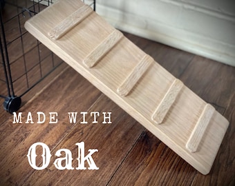 Bearded Dragon Ramp - Etsy