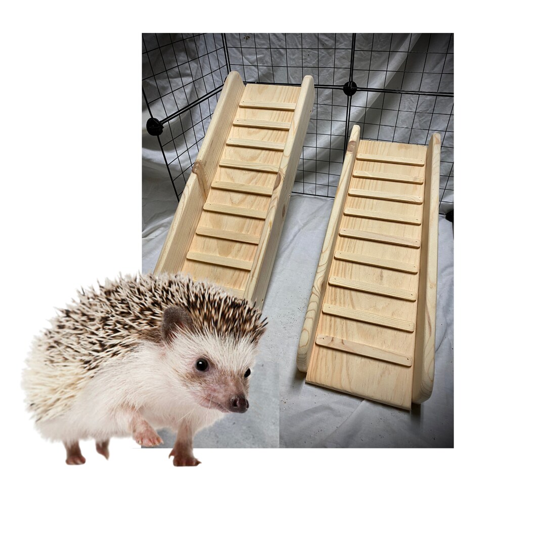 Hedgehog Ramp With Sides: Indoor Pine Wood Ramp - Etsy