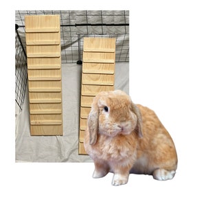 Rabbit Ramp With SIDES Option 14lb 5.5-11.25 Inches Wide 10-70 Long Rex ...