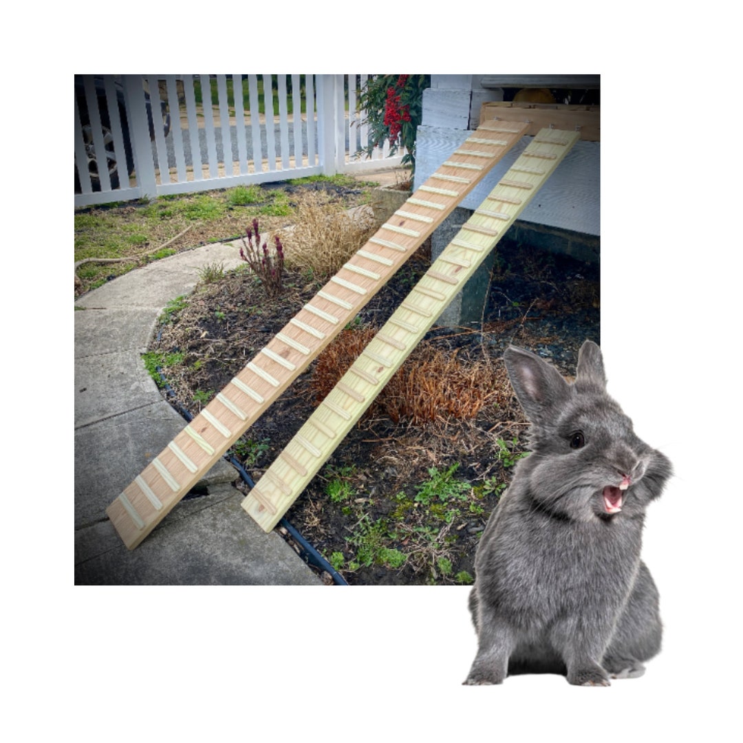 Rabbit Ramp With SIDES Option 5.5 and 7.5 Inches Wide 10-70 Long ...