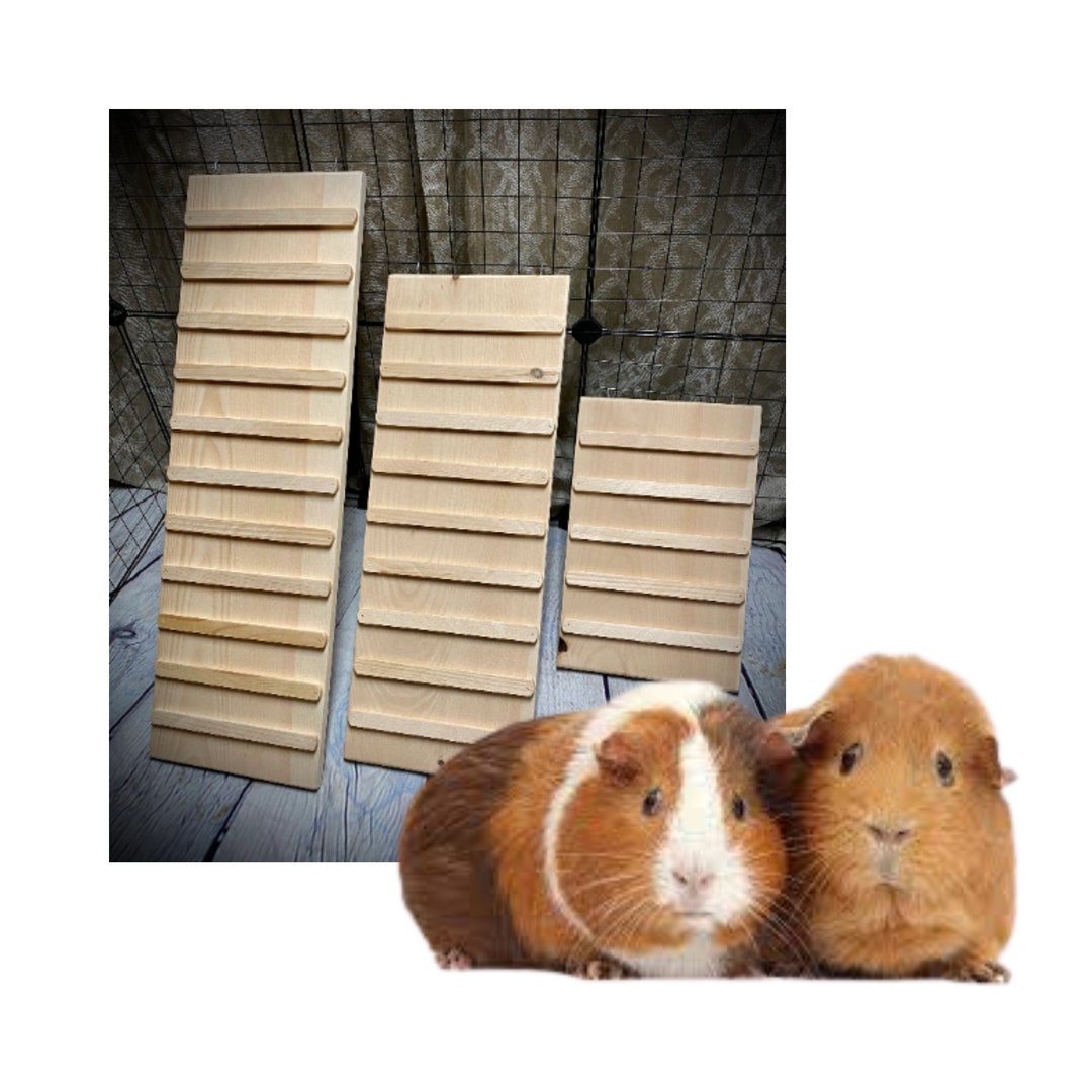 GUINEA PIG Ramp With SIDES Option 14lb 5.5-11.25 Inches Wide 10-70 ...