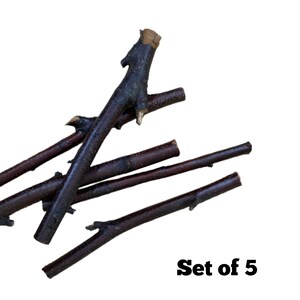 Small White Birch Sticks W/bark Set of 5 , 10 or 15 Small Pet Toy 6 ...
