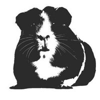 Rabbit Ramp With SIDES Option 14lb 5.5-11.25 Inches Wide 10-70 Long Rex ...